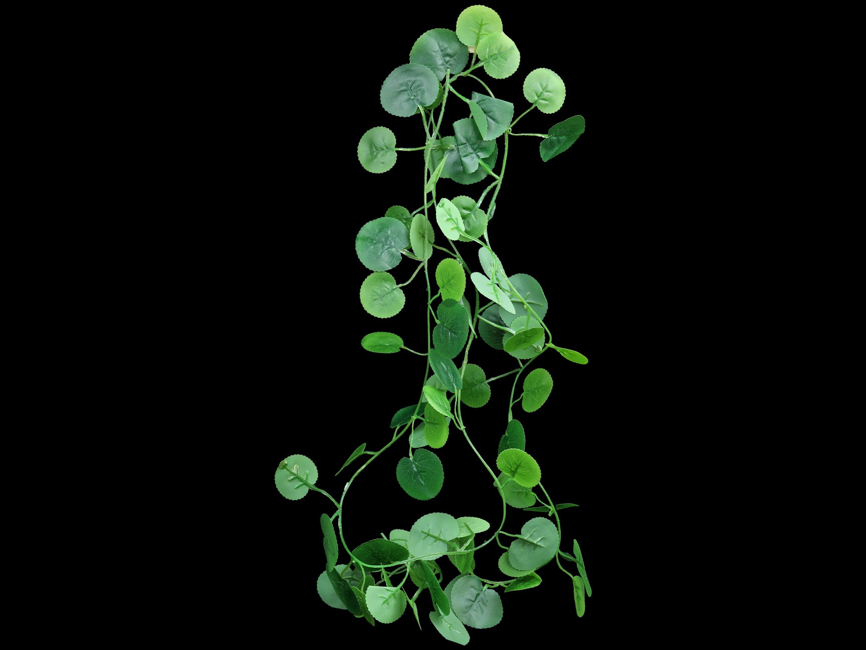 Reniform Vine - Wilbanks Realistic Plant – Wilbanks Captive Bred Reptiles